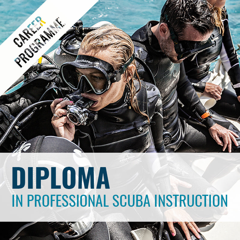 Start a Career in the Diving | Become a Dive Instructor | Dive Otago