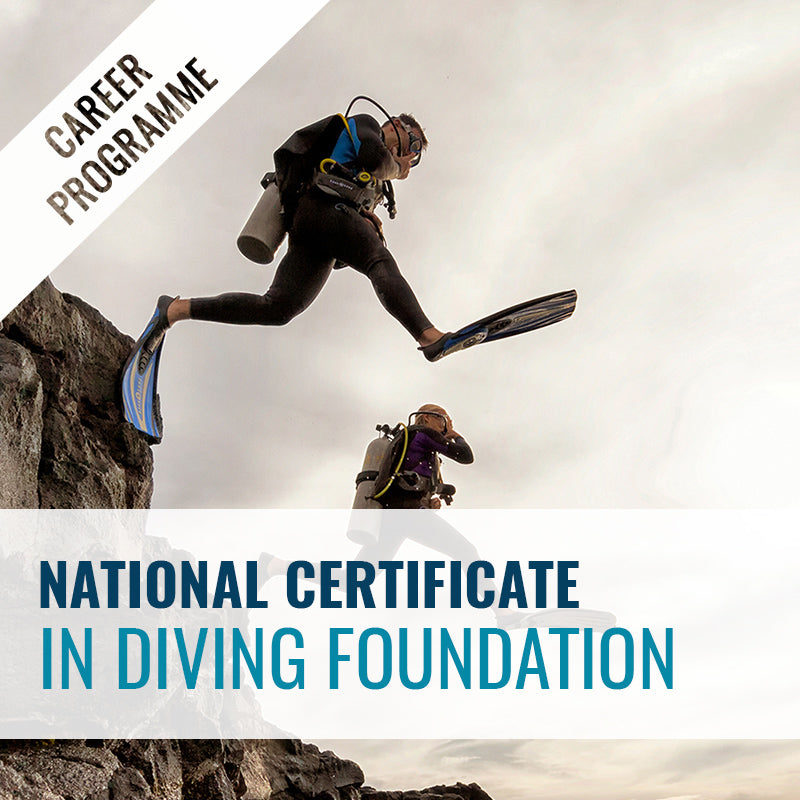 PADI Open Water Diver Course | Learn to Dive | Dive Otago