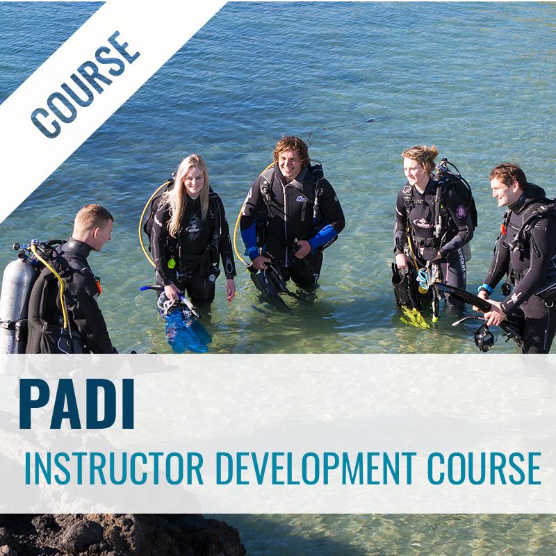 PADI Instructor Development Course | PADI IDC | New Zealand - Dive Otago